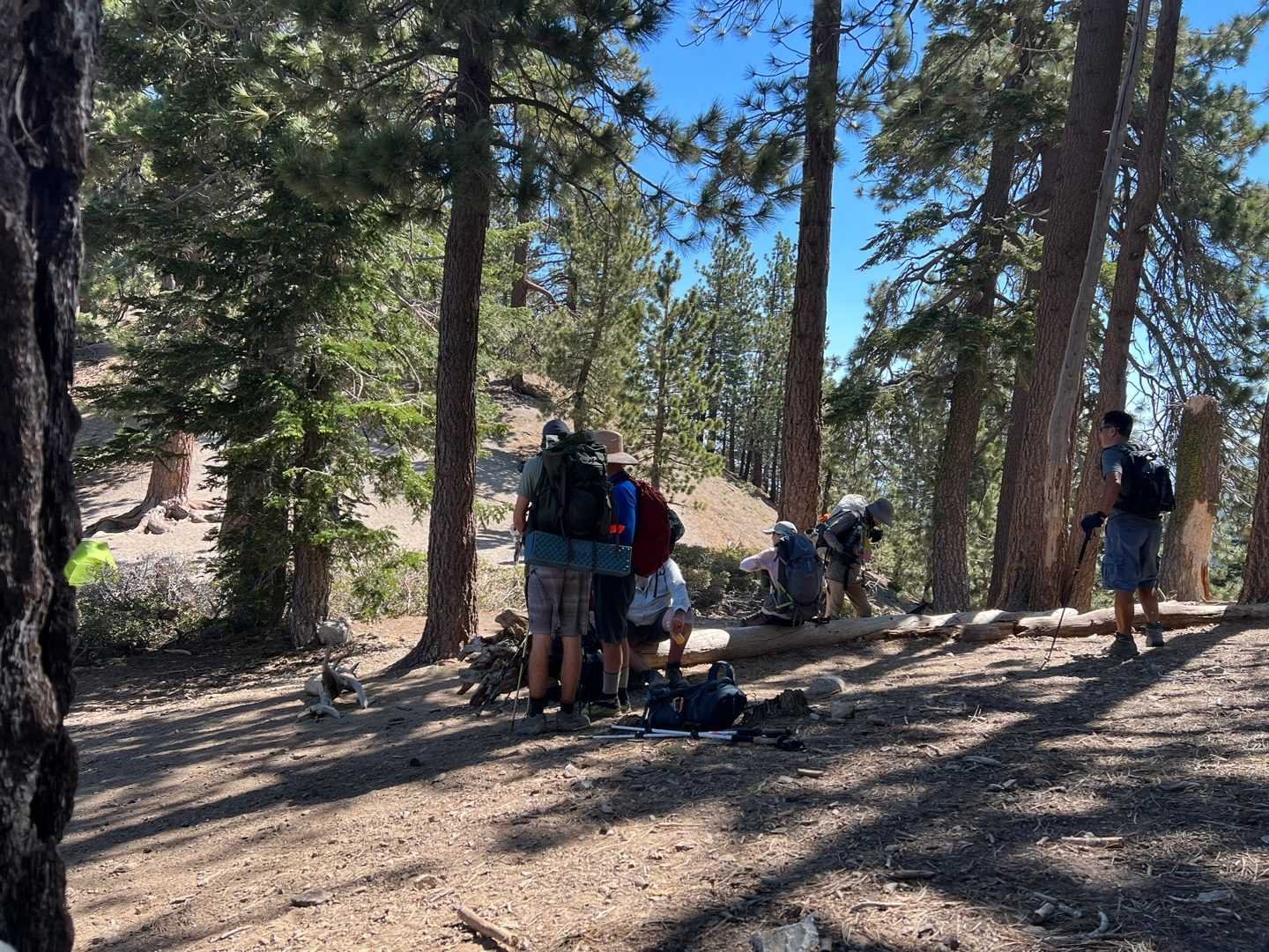 6/11/2022 Kelly Camp via Icehouse Canyon ( 11.6 mi, 3,097 ft gain ...